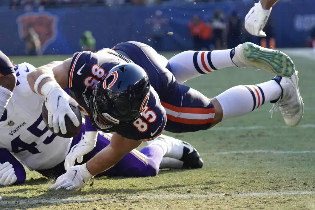 Chicago Bears Score and Recap (Week 18): Vikings 29, Bears 13 - Bears ...